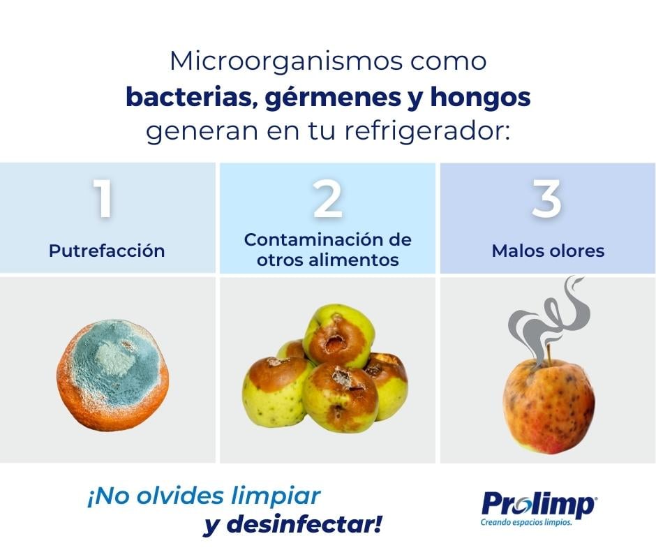 ¿Cómo quitar el mal olor del refrigerador?